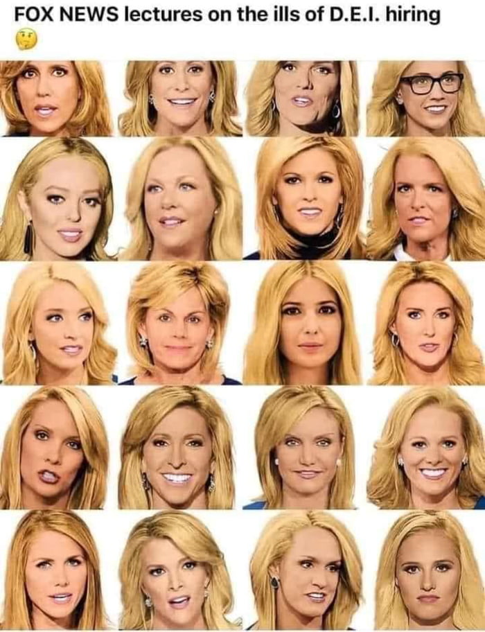 Fox News lecturing on DEI hires. - 9GAG