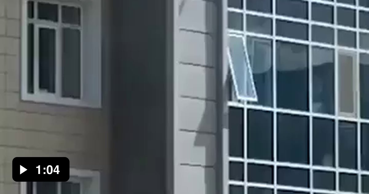 The man climbed out of his eighth-floor window to rescue the helpless ...