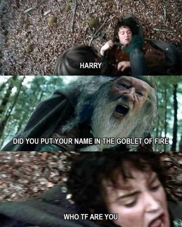 FRODO! DID YOU PUT YOUR NAME IN THE GOBLET OF FIRE!? - 9GAG
