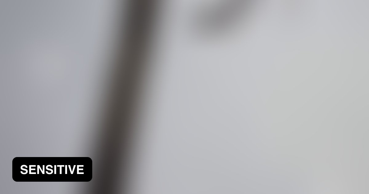 What in the actual f**ky f**k - 9GAG