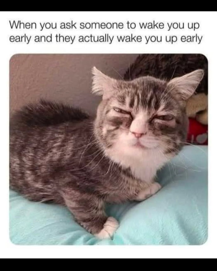 That moment when they actually do it. - 9GAG