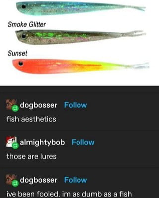 Pretty sure I'm dumber than a fish. - 9GAG