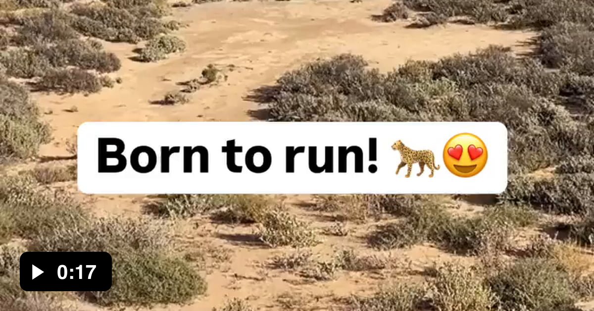 Born to run... and then born to stop dramatically. - 9GAG