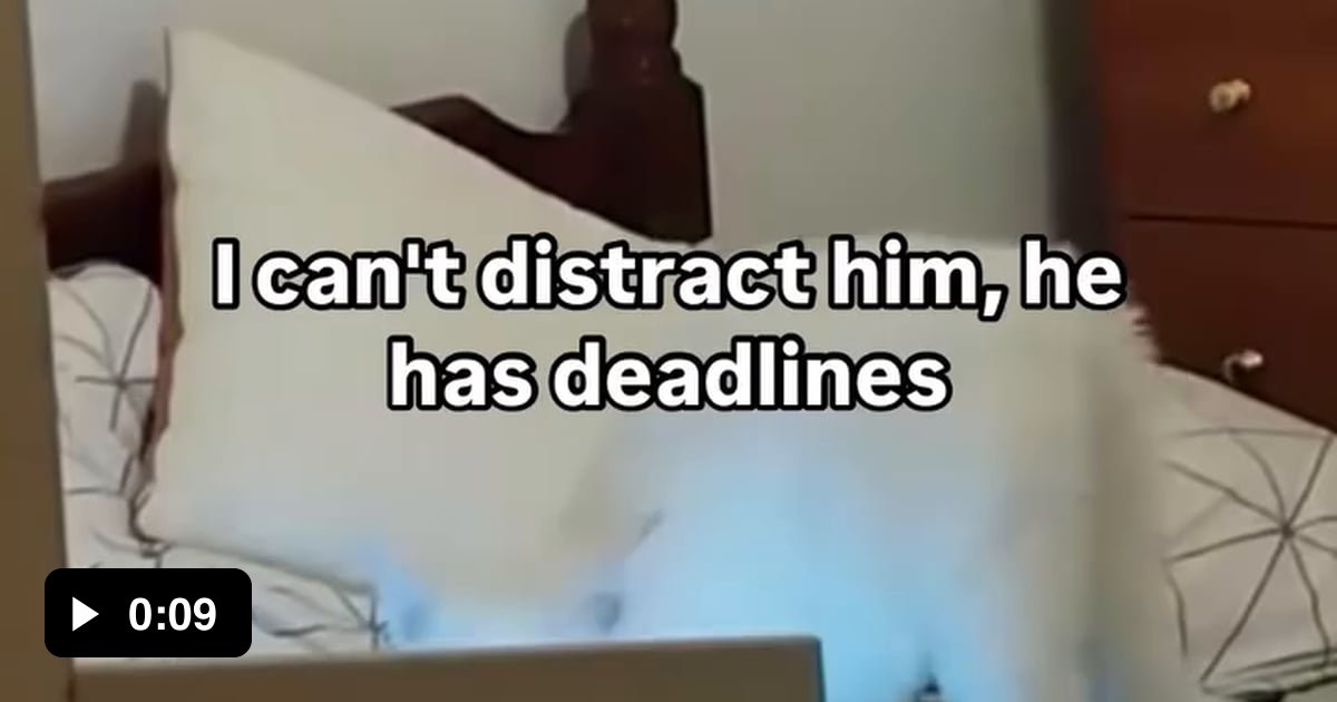 My cat's hustle is next level. - 9GAG