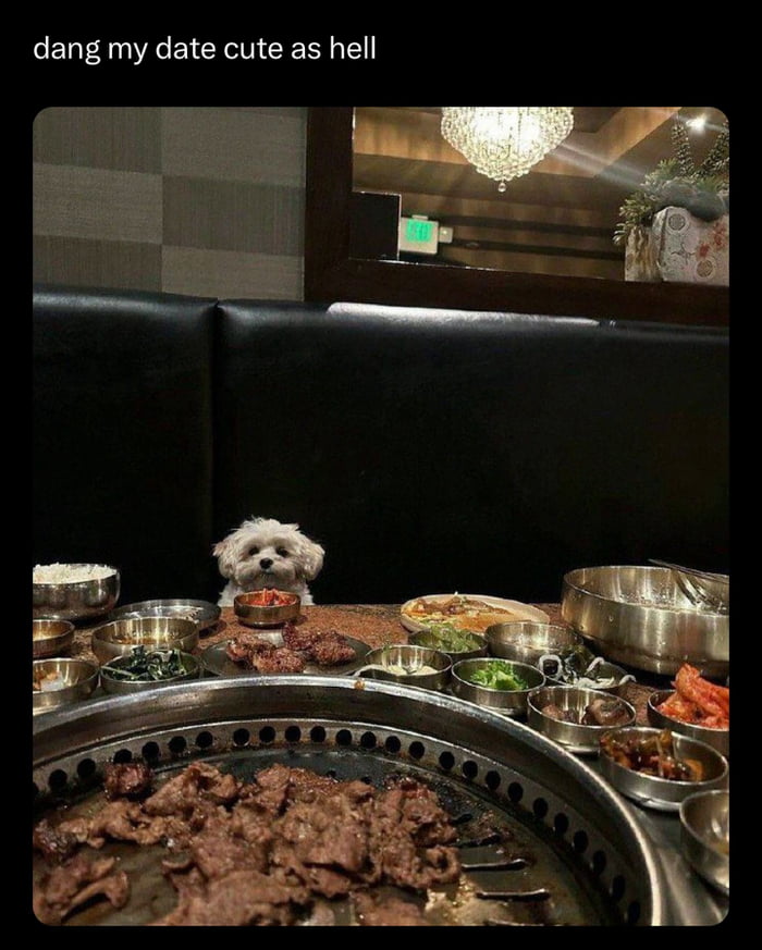 He's definitely wife material. - 9GAG