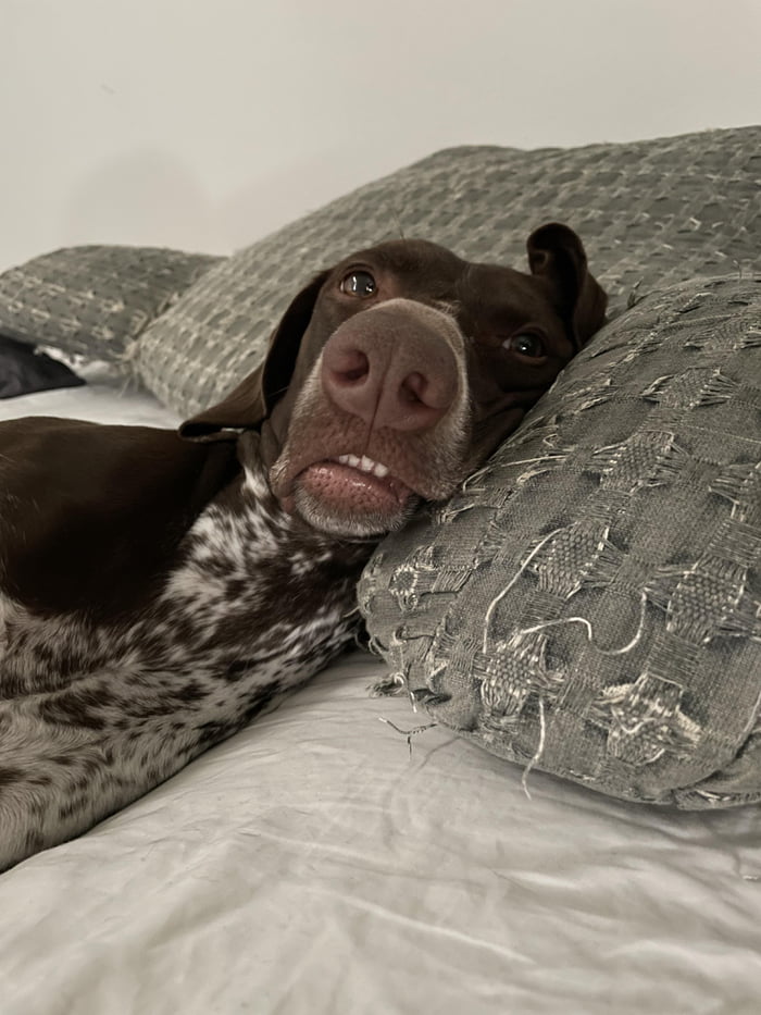 She’s such a dope - 9GAG