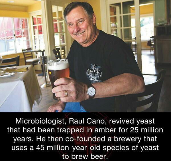 Raul cano, a microbiologist who was able to awaken ancient yeast strains and bacteria - 9GAG