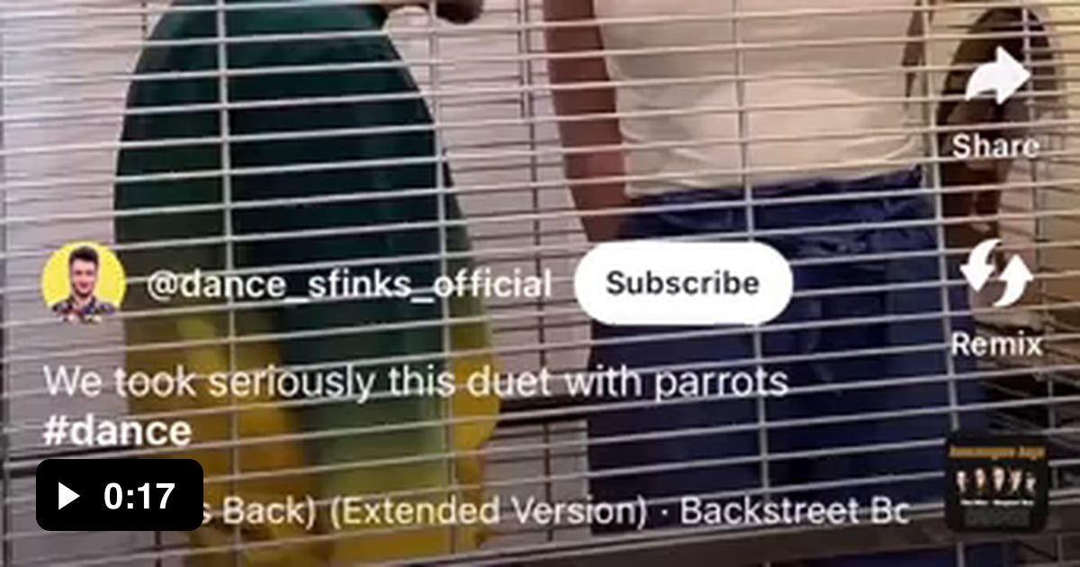 Birds (dance_sfinks_official) - 9GAG