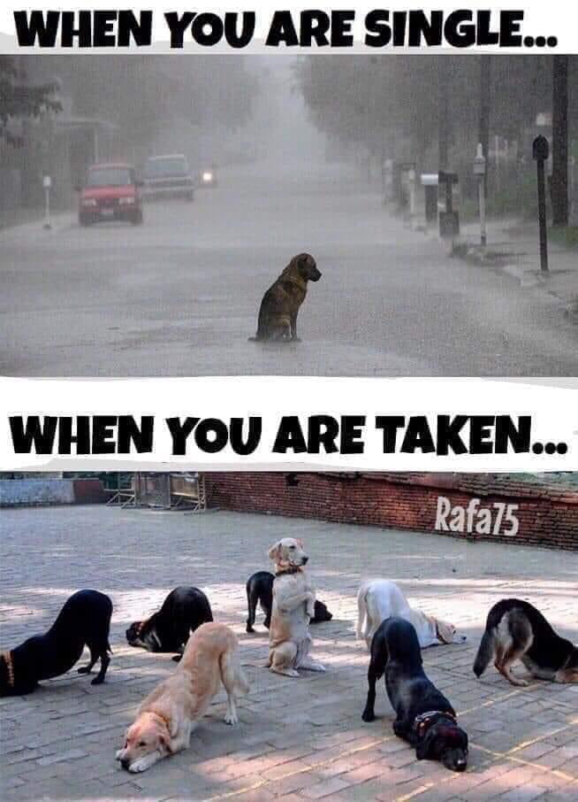 Pre selection is a real thing - 9GAG