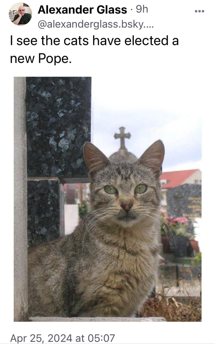 Prophetic meaning of an American Pope taking the name of a cat/lion