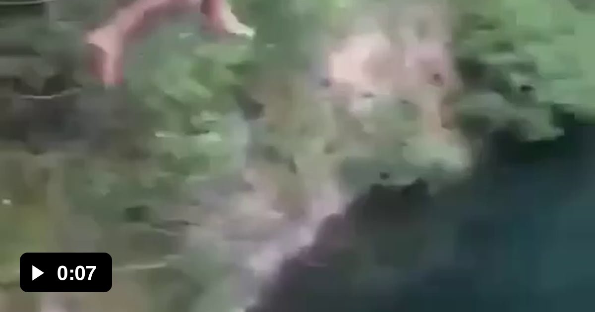 Flying... Freeeeeeeeeee !!!!!! Awww Shit ! - 9GAG