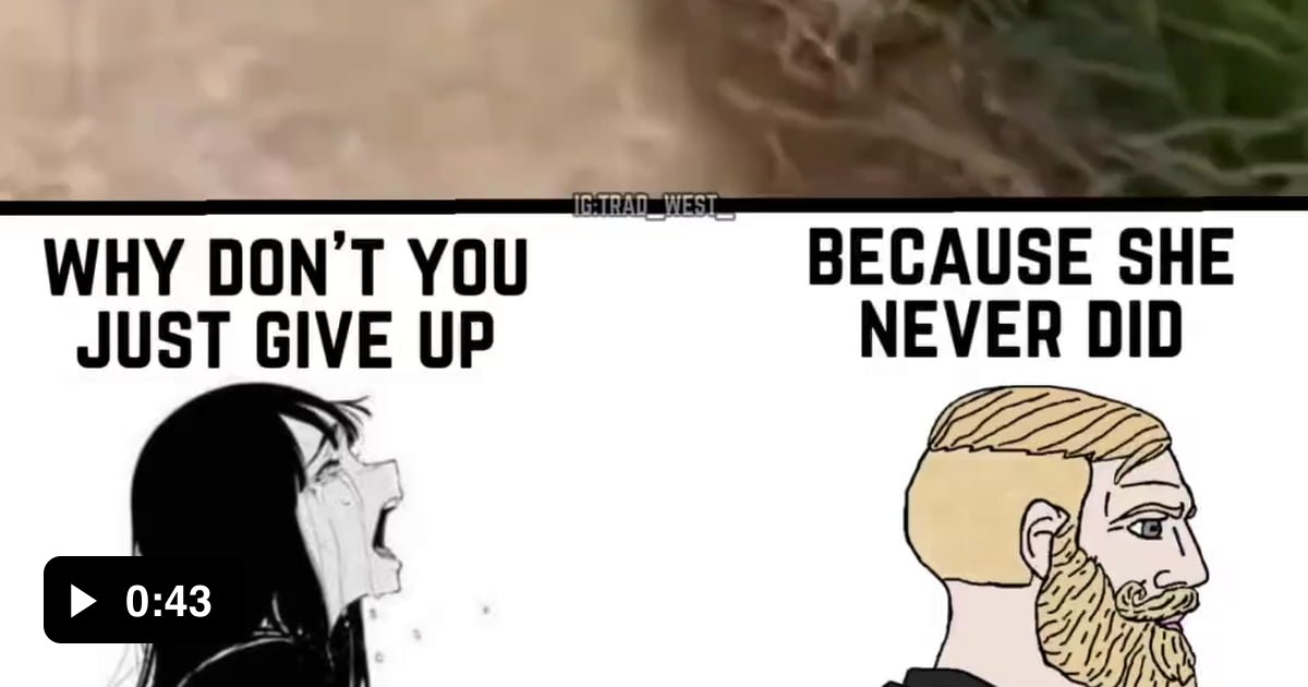 Cat 9gag