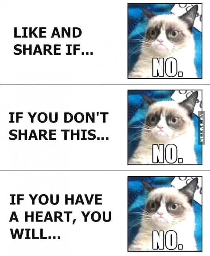 I'm with you, Grumpy! - 9GAG