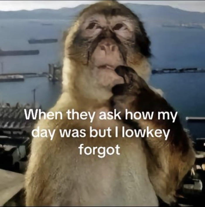 Lowkey monkey - 9GAG