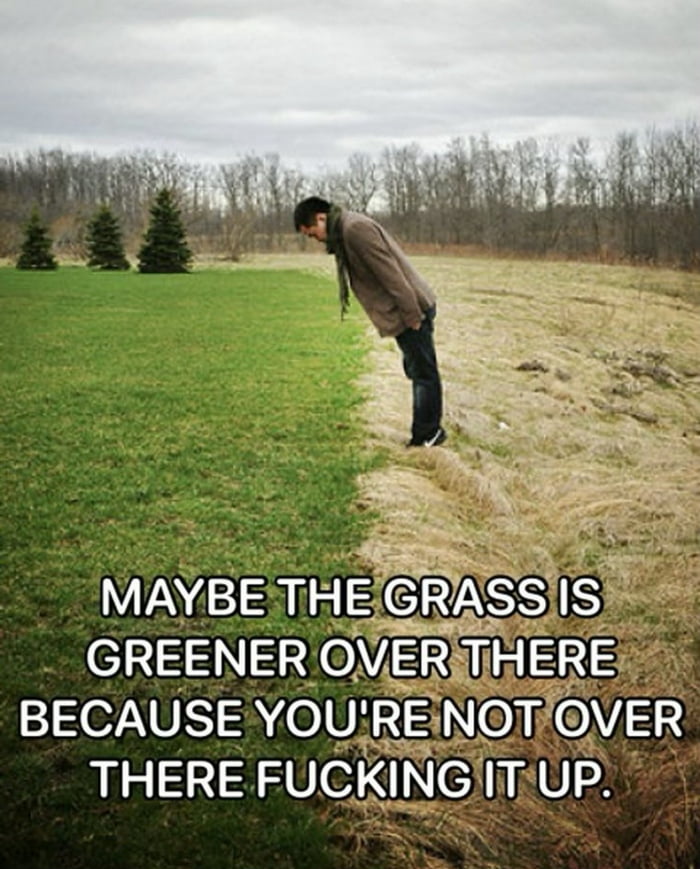 Green grass everywhere. - 9GAG