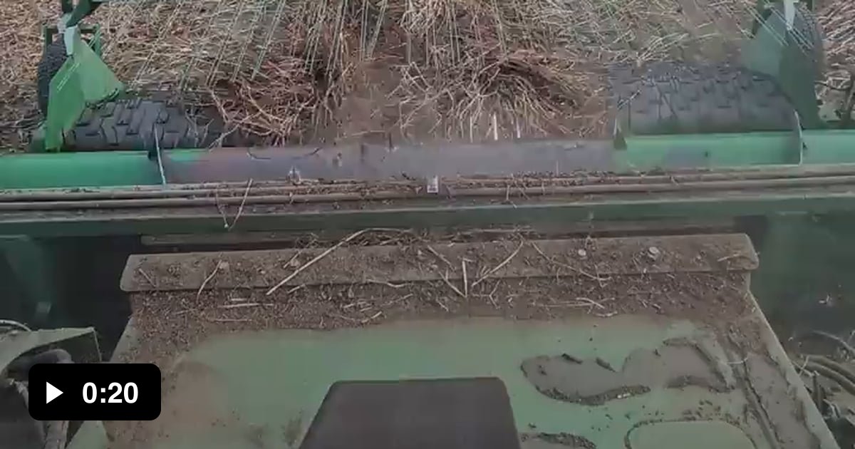 Combining a windrow of buckwheat - 9GAG
