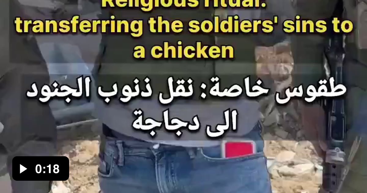 Step 1 Swing chicken over head. Step 2.???Step 4: all is forgiven and profit - 9GAG