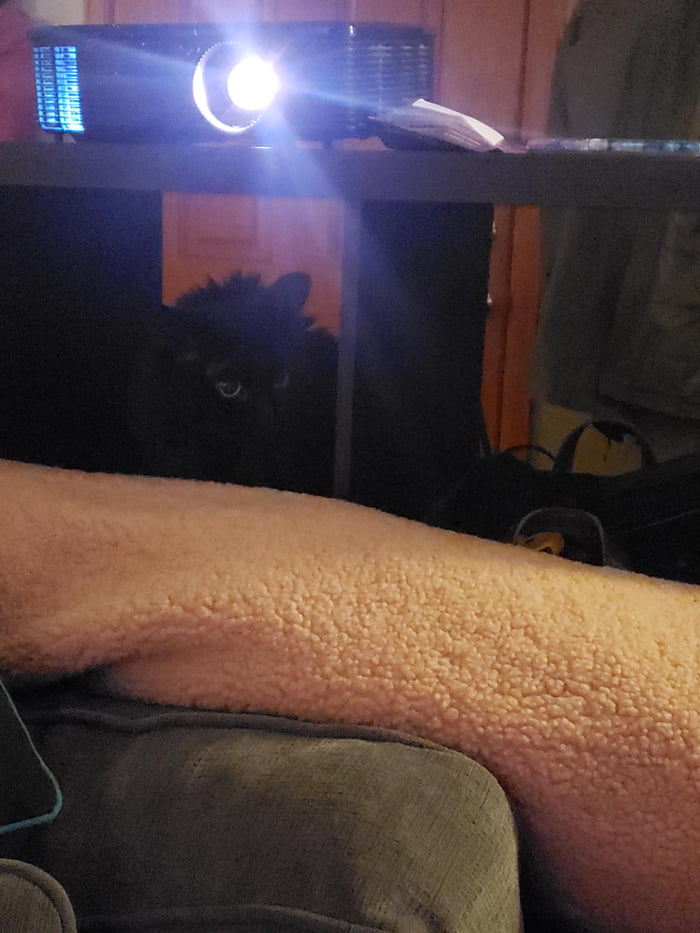 Projector Operator is grumpy tonight - 9GAG