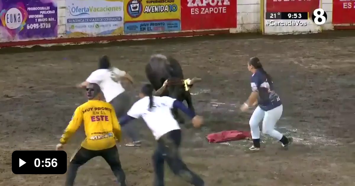 Points for the bull - 9GAG