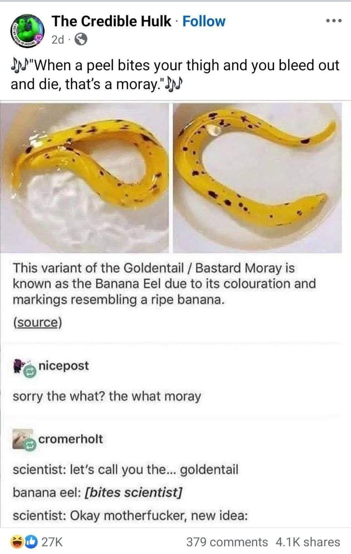 Minions. Go fetch. - 9GAG