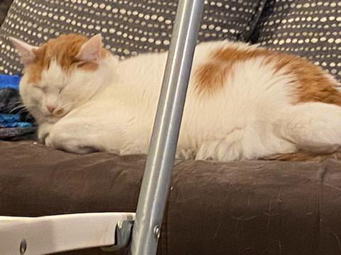 Puff, lazy demon of death - 9GAG