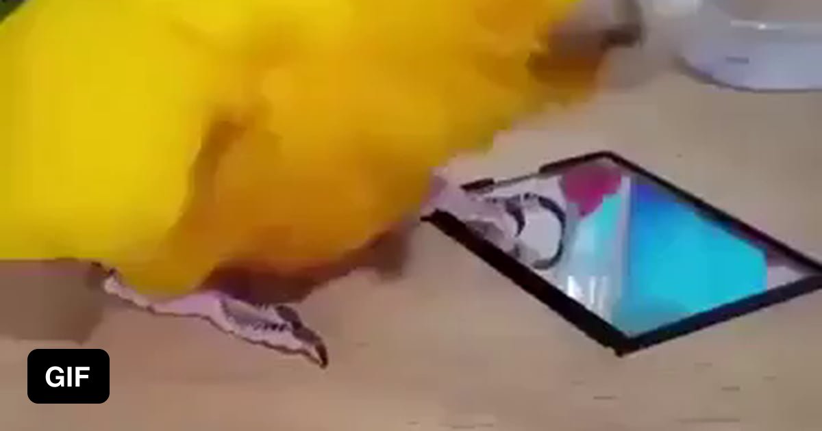 You got that swag? - 9GAG