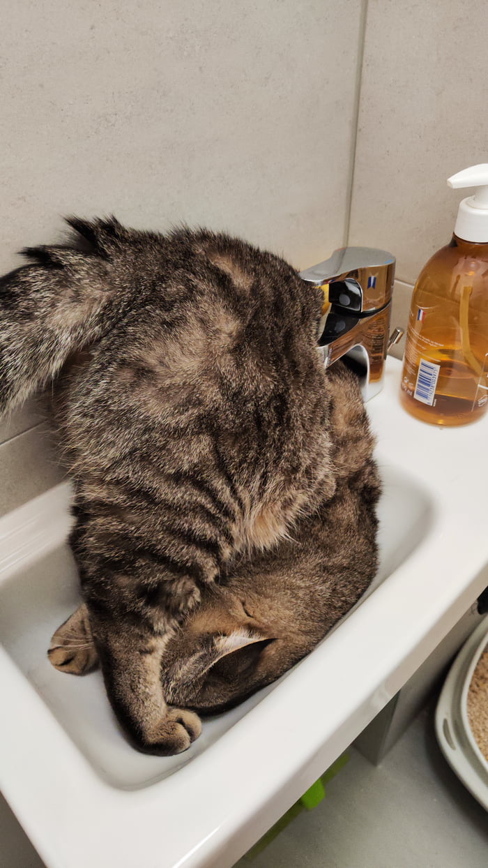 No title just mine gato - 9GAG