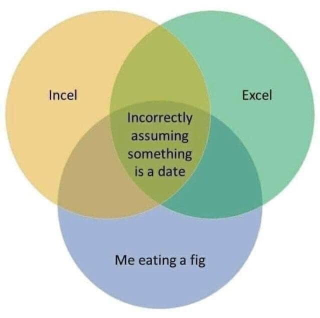 Incel, excel and a fig - 9GAG