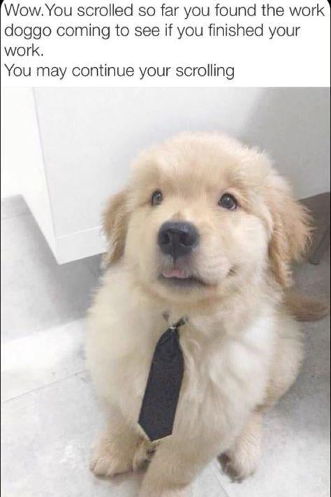 Did you finish your work? :) - 9GAG