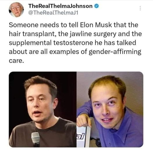 All These Things Elon Musk Has Talked About Are Examples of Gender Affirming Care! - 9GAG