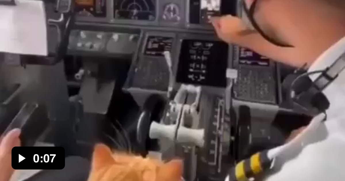 The DEI hire we all approve. - 9GAG