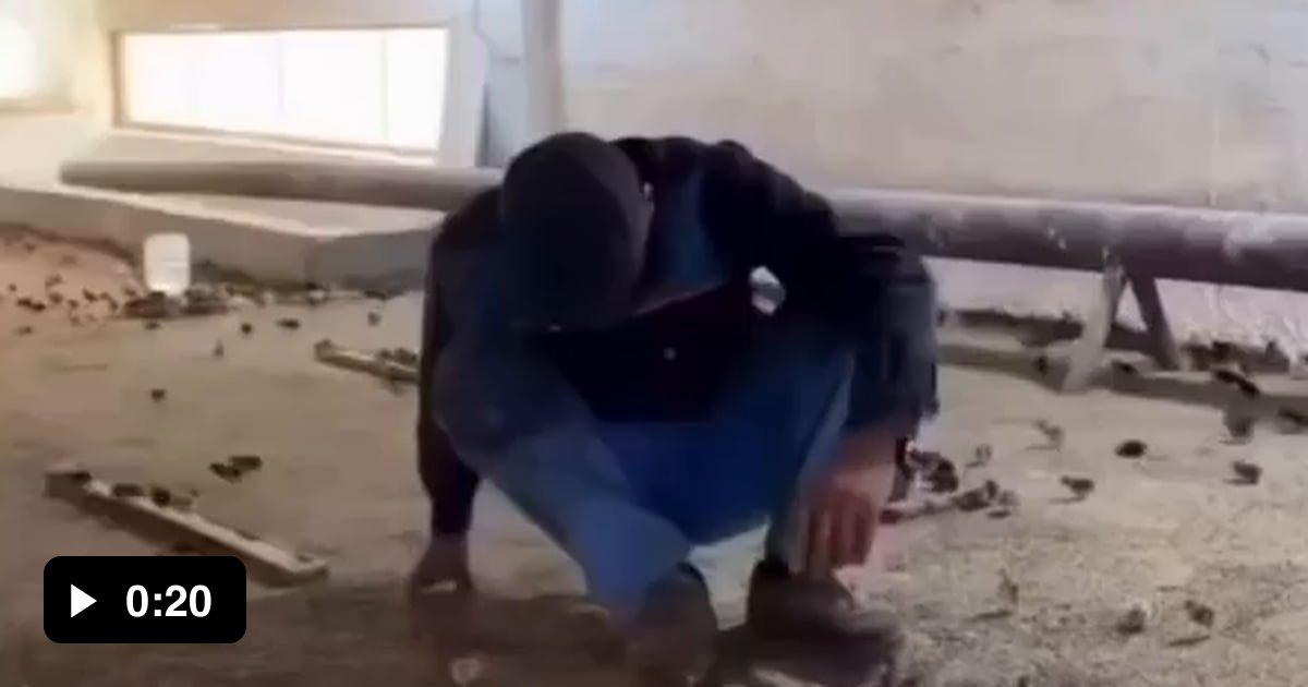 This is how you make a long flight fun - 9GAG