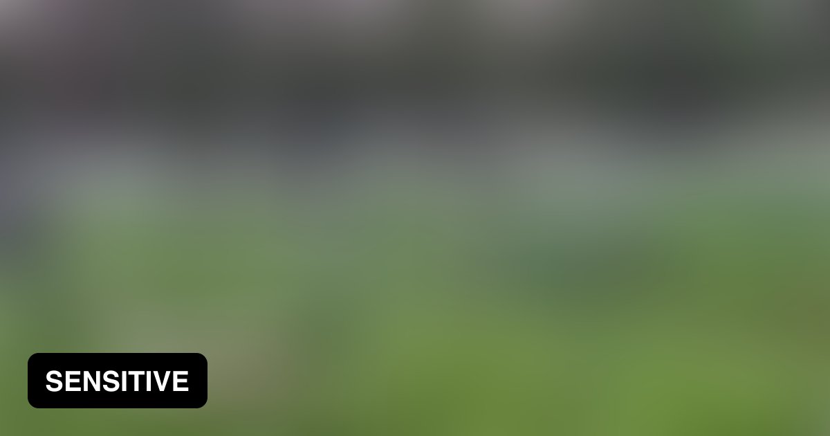 Our beloved basics. "Polish soldiers open fire as migrants attempt to invade at the border." - 9GAG