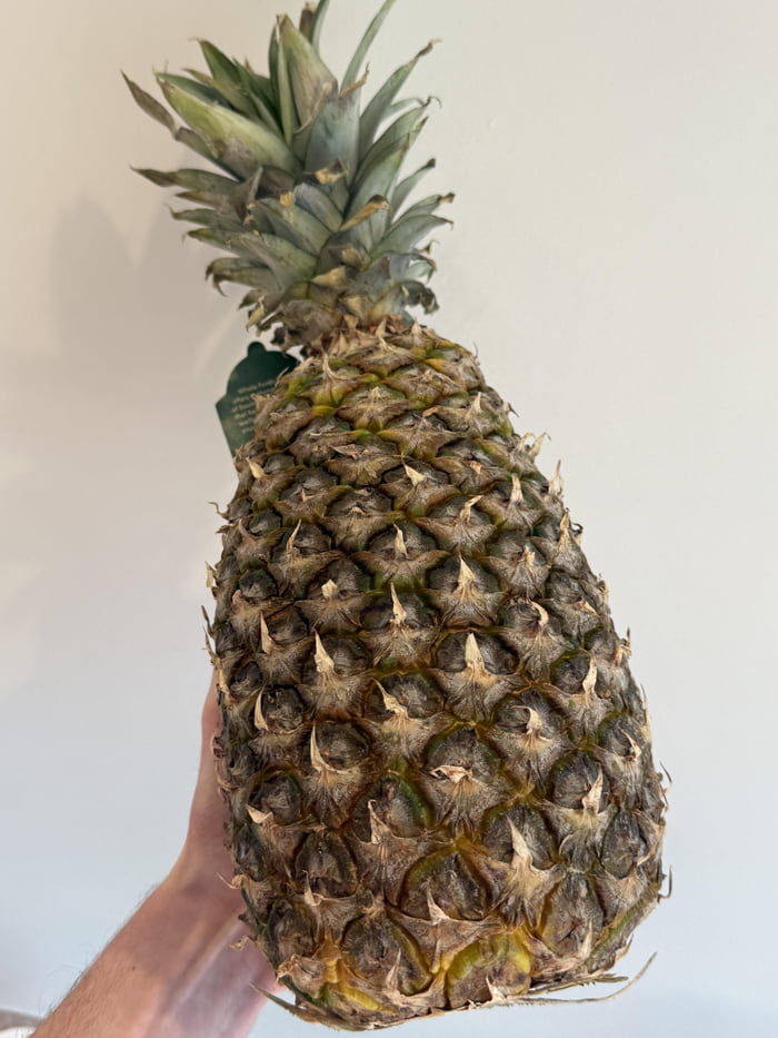 Of a pineapple - 9GAG