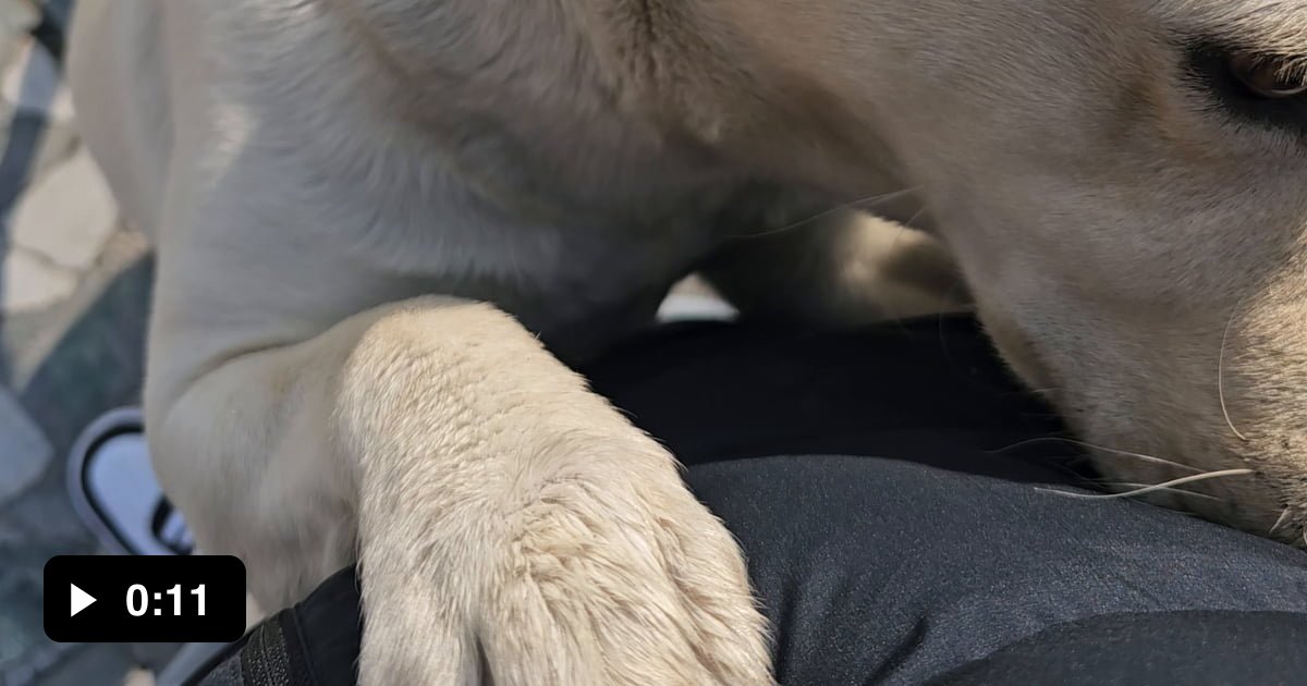 So I met this lovely girl, just gorgeous and pure love! - 9GAG