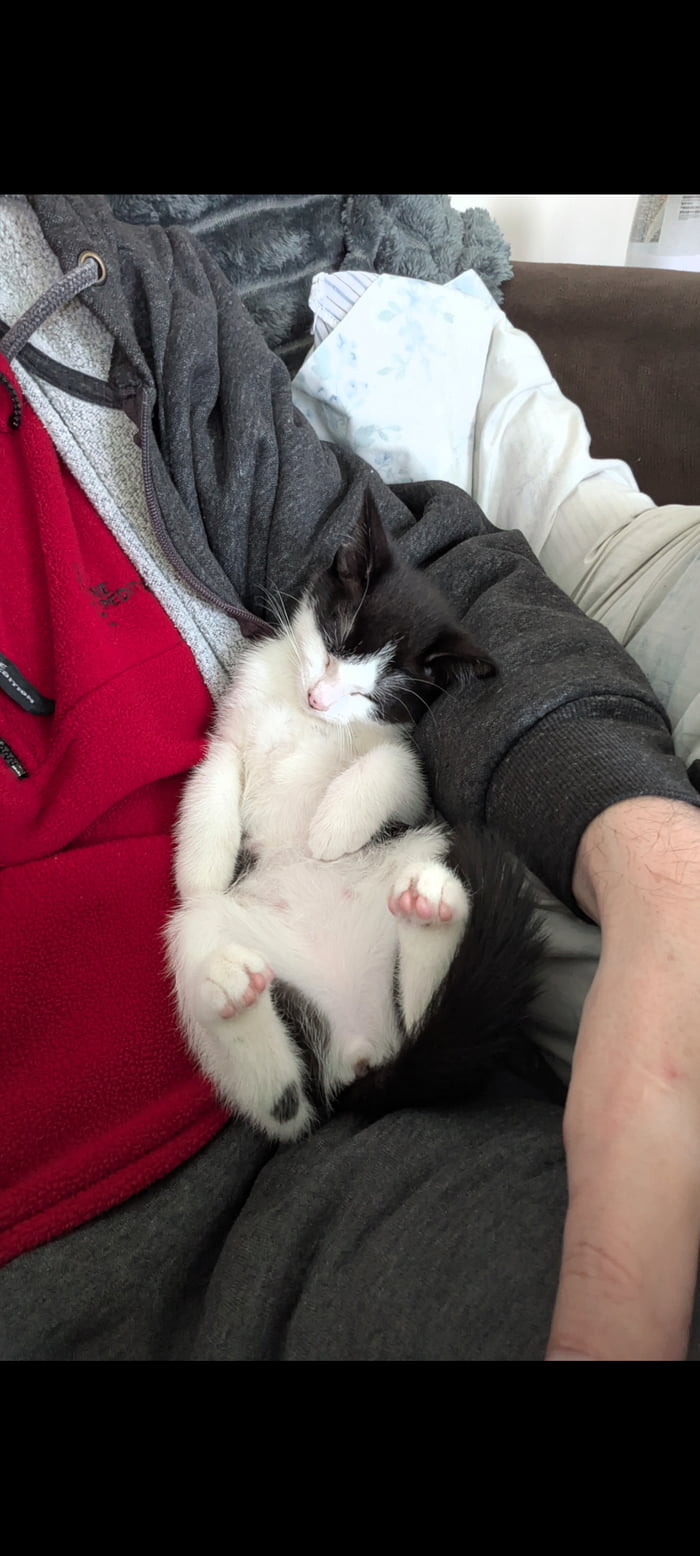 Willow tired as usual - 9GAG