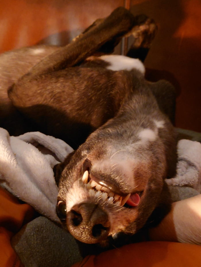 She really doesn't look too comfortable - 9GAG