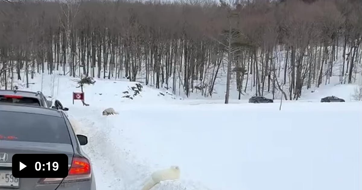 The body is round - 9GAG