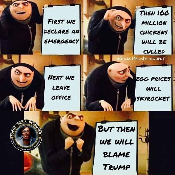 The pinky, the pinky, the pinky and the brain, brain, brain, brain... - 9GAG