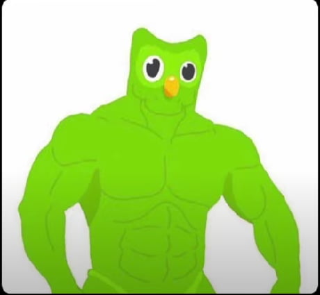 Duolingo owl the teacher of pain - 9GAG