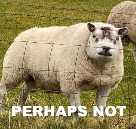 Perhaps - 9GAG