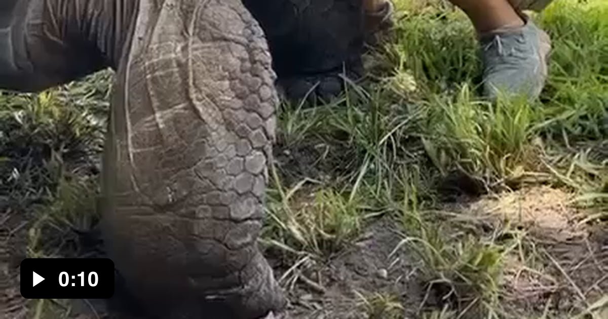 She knows how to use her hands ;) - 9GAG