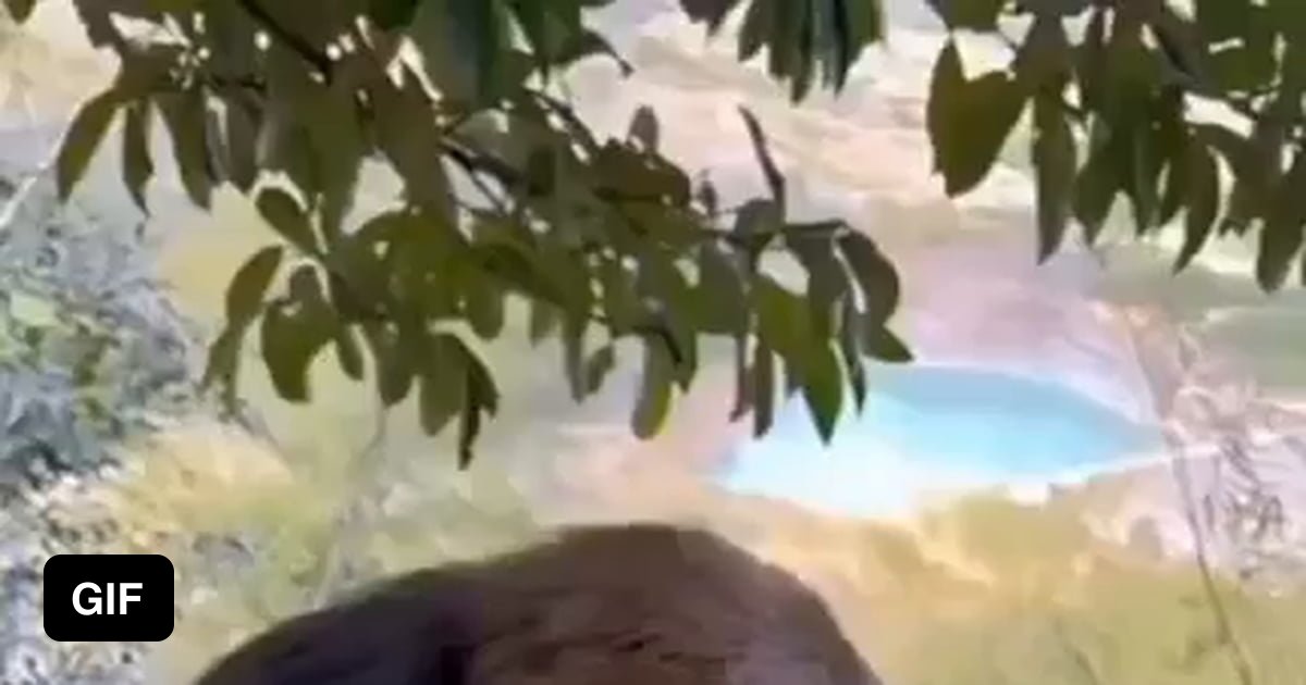 Wtf you think iam - 9GAG