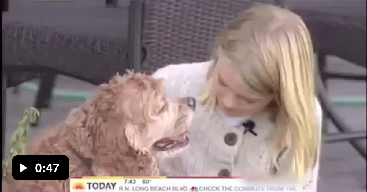 Bless you *pfrrrt* bless you - 9GAG