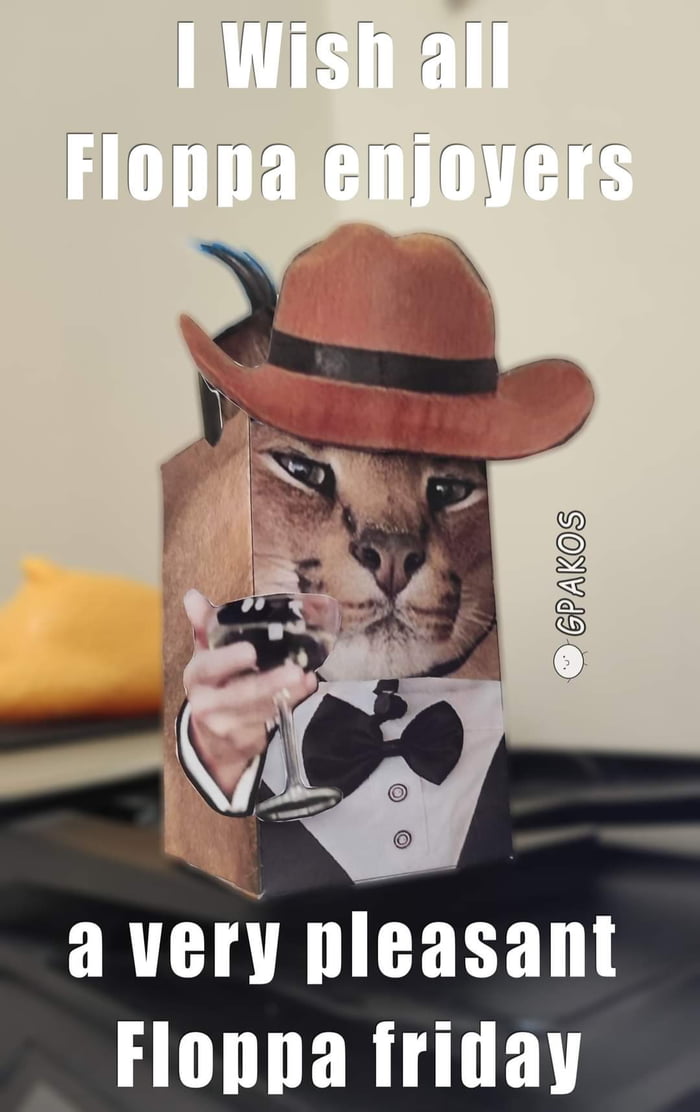 Floppa friday - 9GAG