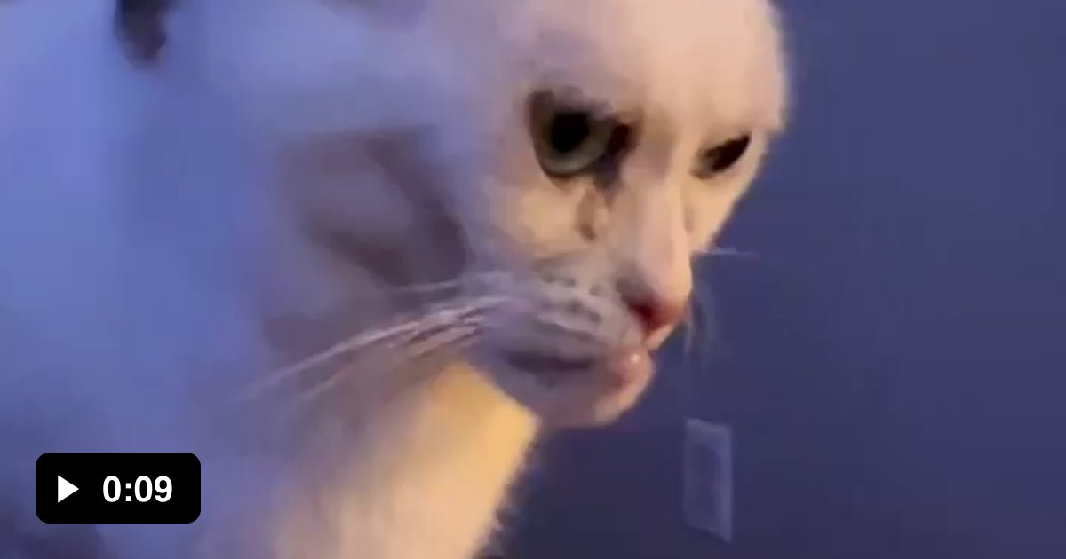 All hail lord umam - 9GAG