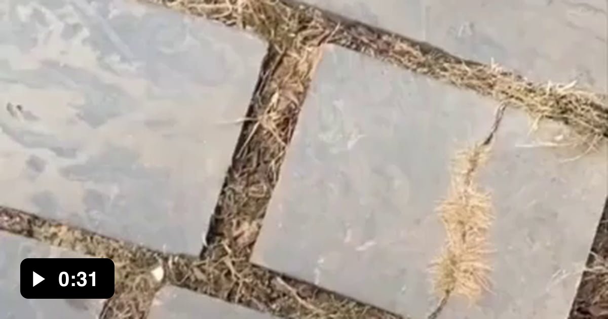 It was Wednesday yesterday.... I'm late - 9GAG