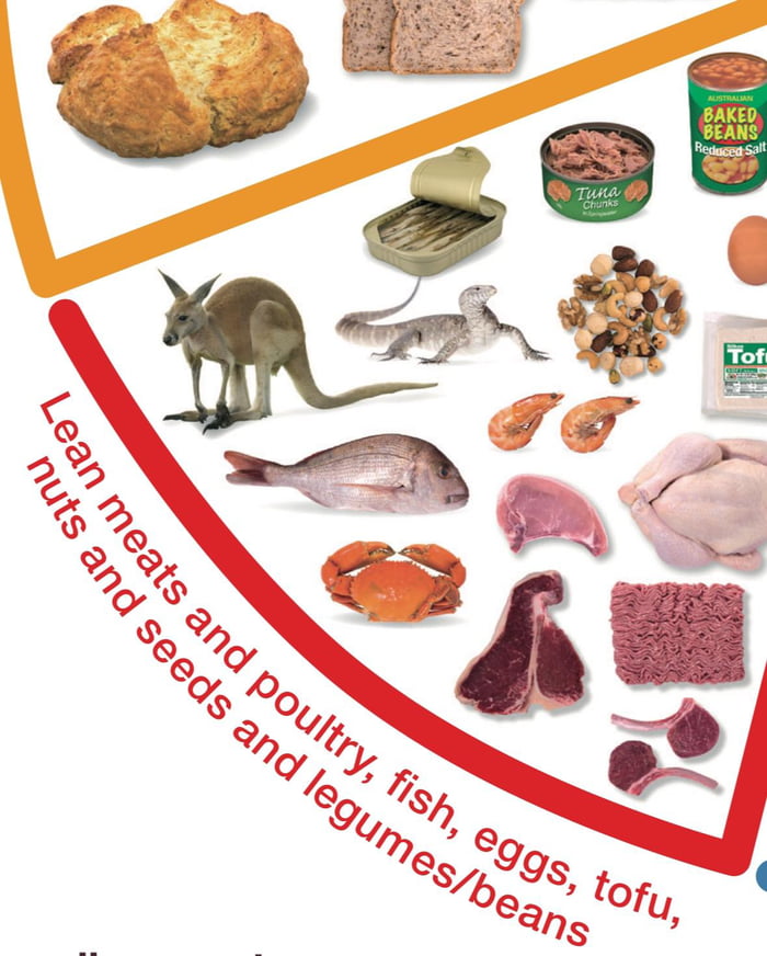 Aussie healthy eating chart has kangaroo and goanna (monitor lizard) on ...