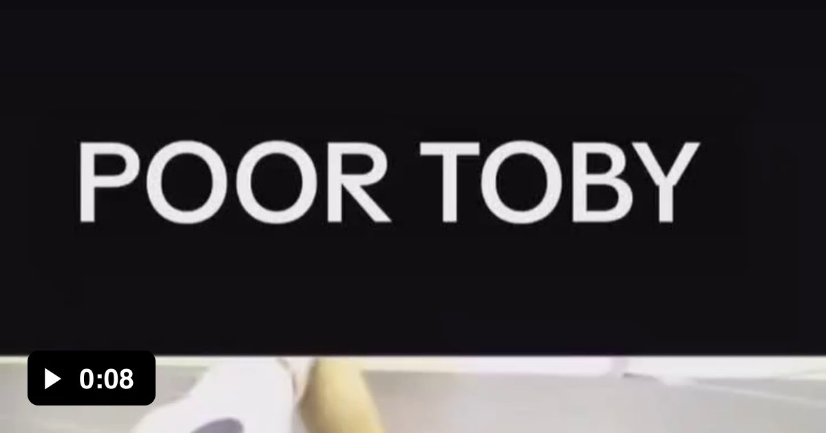 Eat a cock toby! - 9GAG