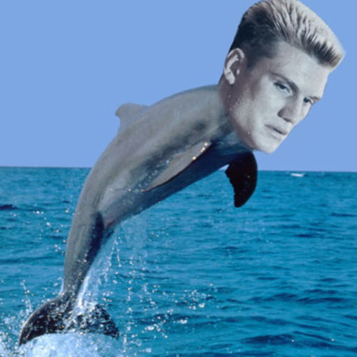 Dolphin Lundgren - 9GAG